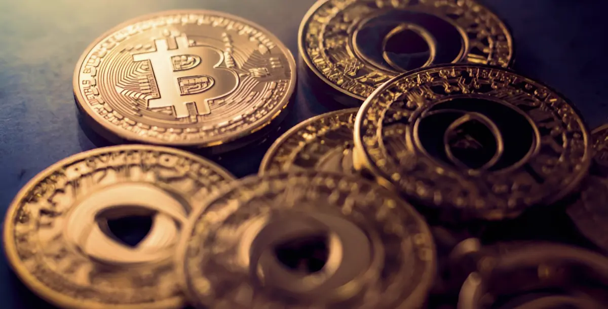 Te Tohu Hinengaro: Momo, Hanganga me te Whakaaetanga