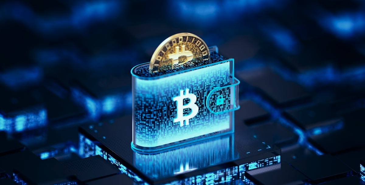 Non Custodial Vs Custodial Wallet Differences Uses
